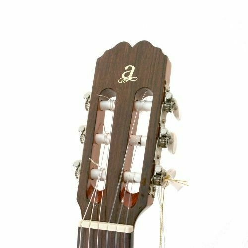 Instrumentos Cuerda - Musical Joluma
